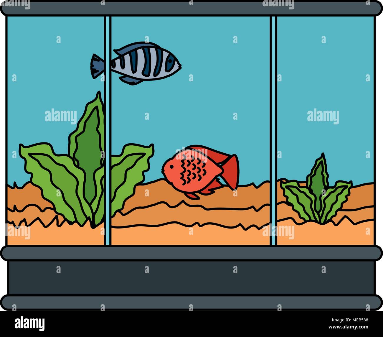 square aquarium with colors fish Stock Vector Image & Art - Alamy
