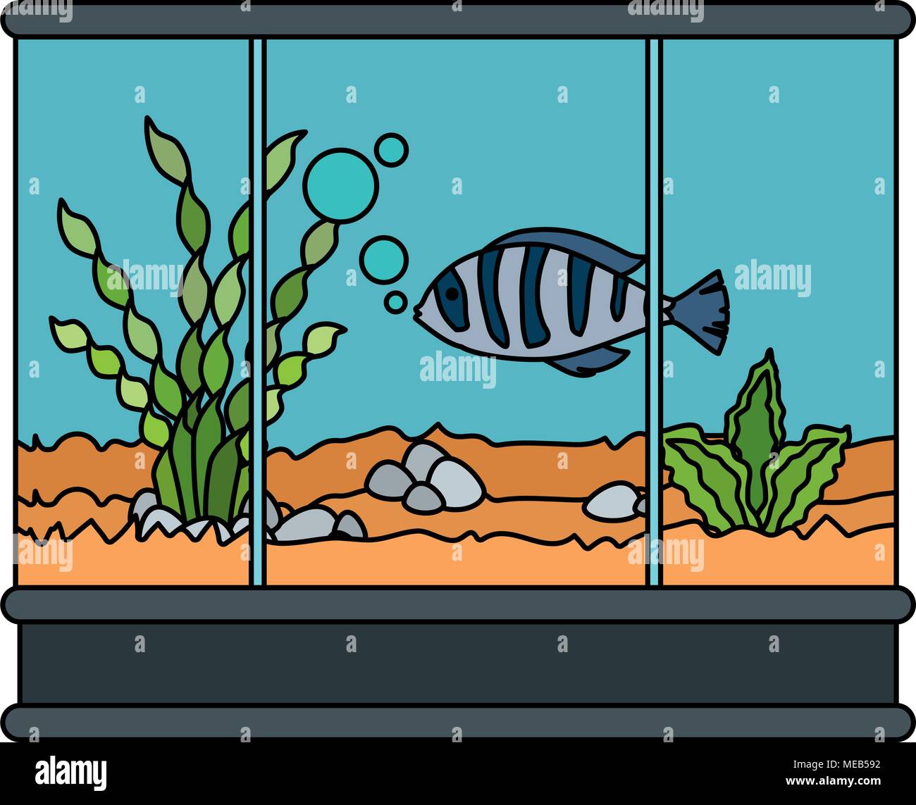 square aquarium with colors fish Stock Vector Image & Art - Alamy