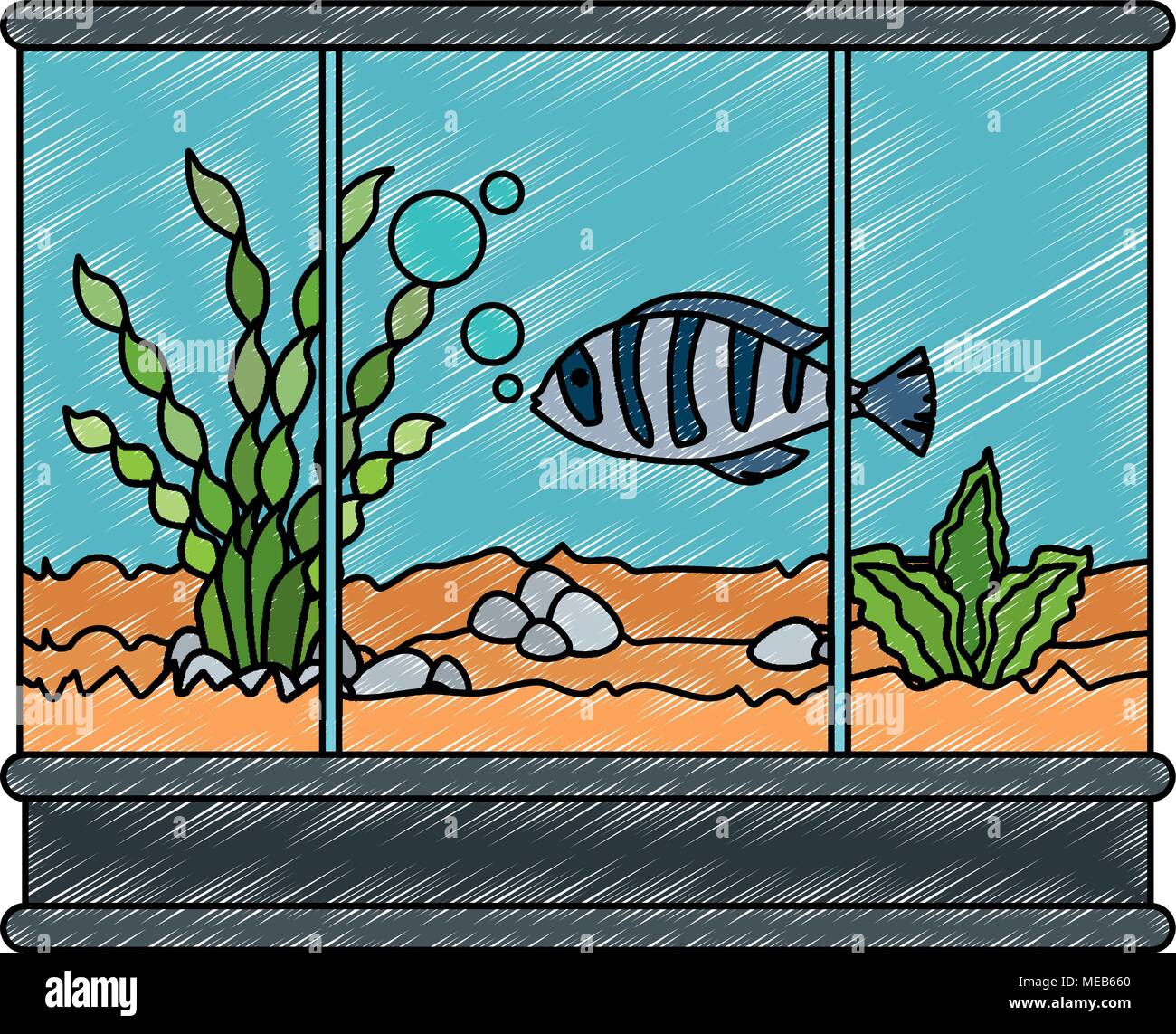 Square Fish Tank Cartoon