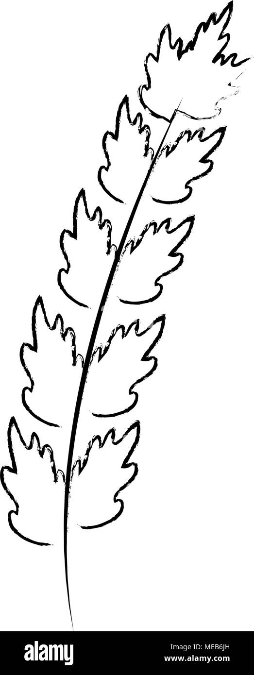 leaf of marine plant Stock Vector Image & Art - Alamy