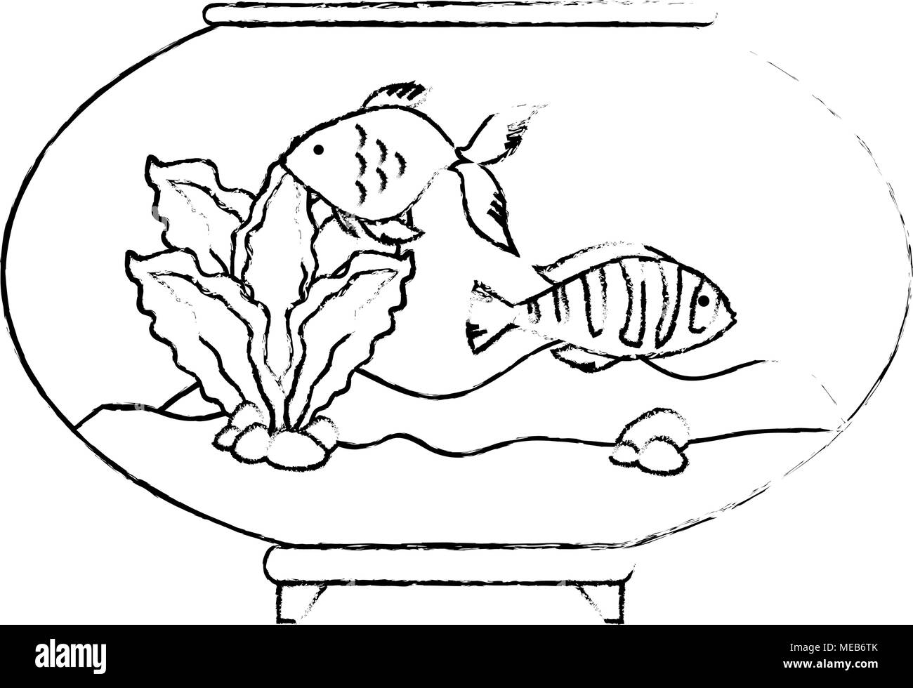 Empty fish tank Black and White Stock Photos & Images - Alamy