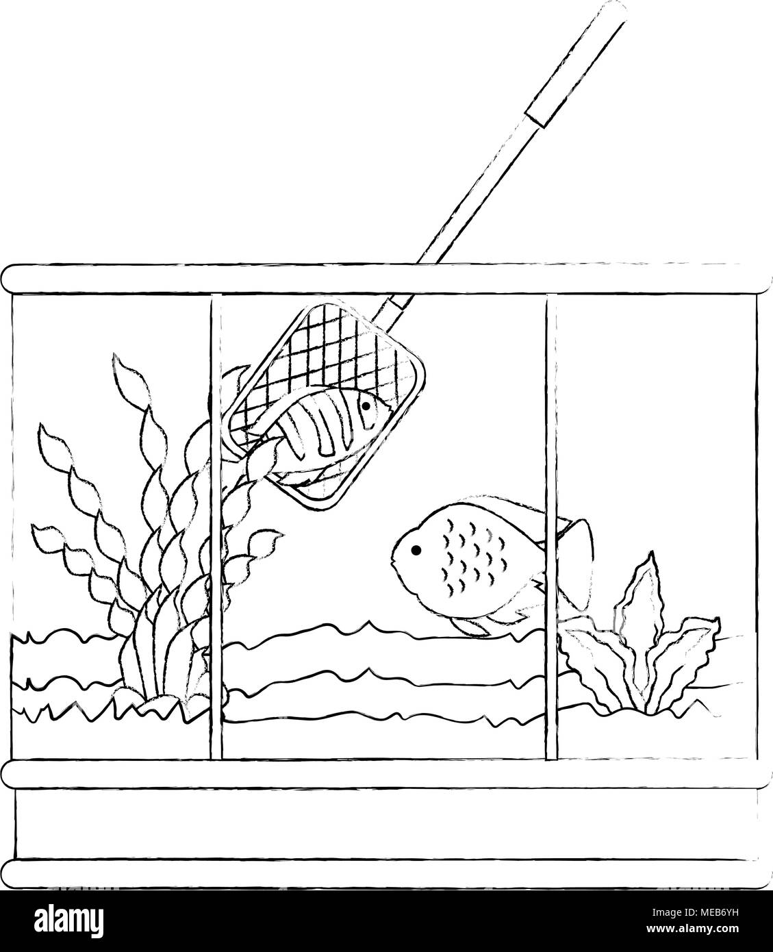 square aquarium with colors fish and fishing net Stock Vector Image ...