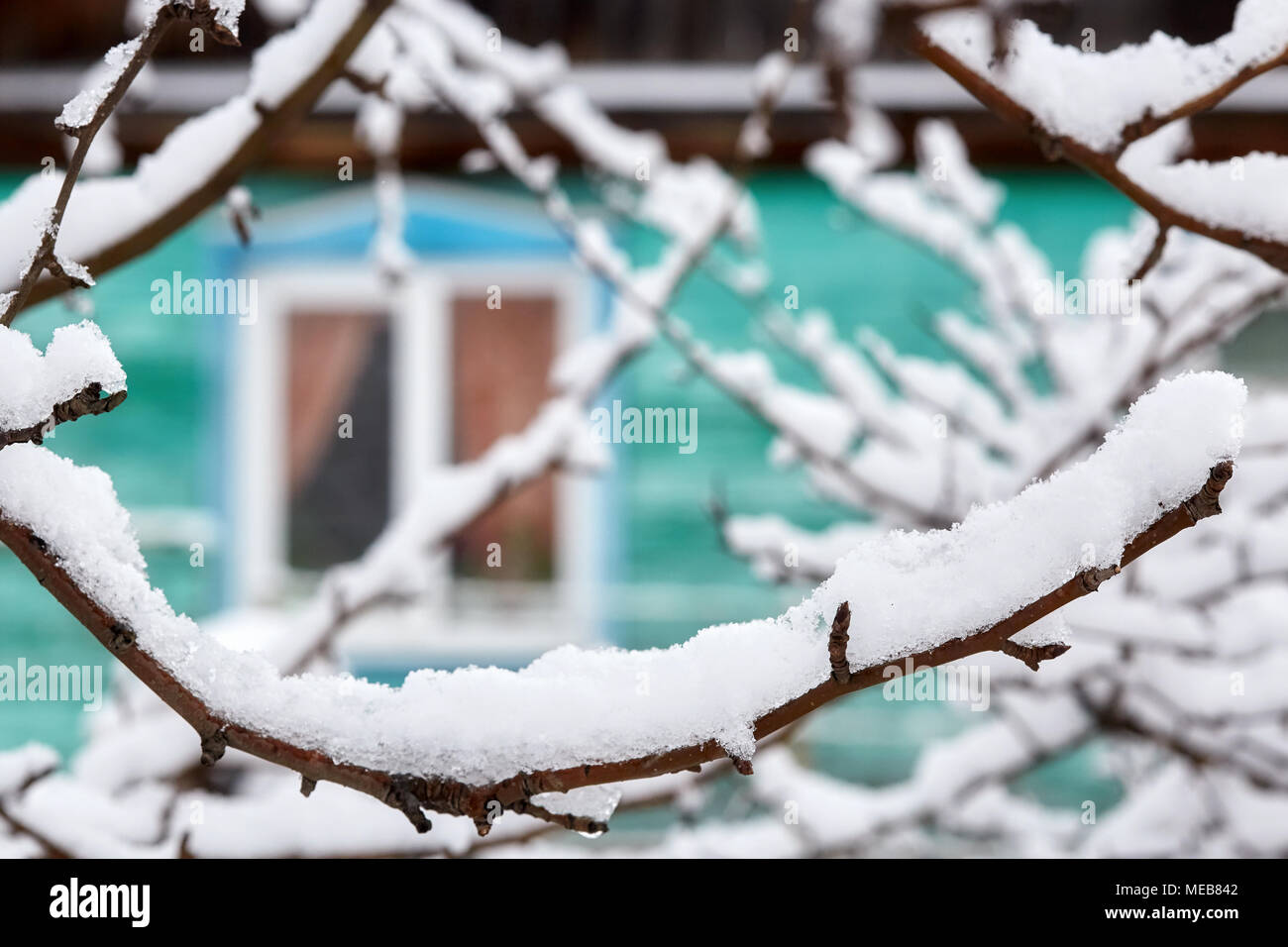 Cottage window christmas tree hi-res stock photography and images - Alamy