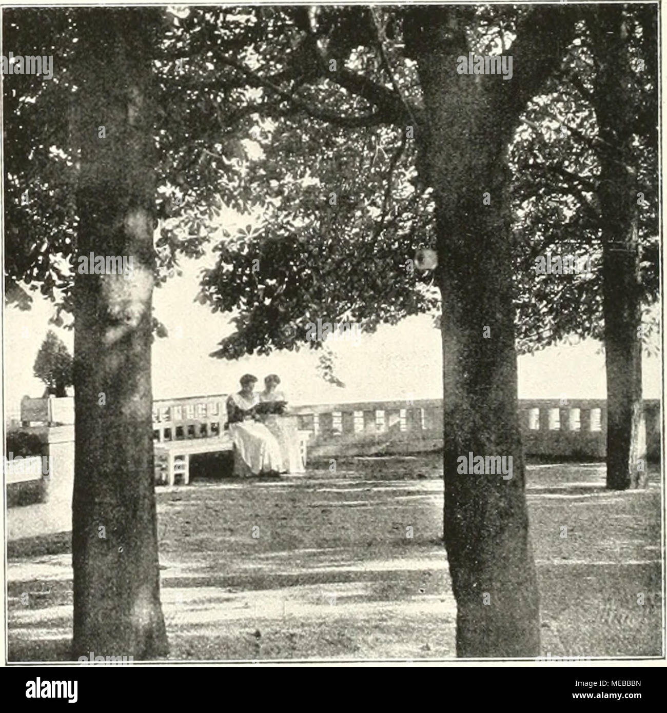 . Die Gartenkunst . Aus einem neuzeitlich umgestalteten Hausgarten ...