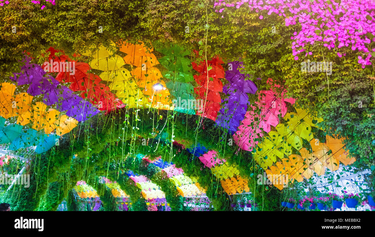 Colorful flowers in rainbow shape in a garden Stock Photo - Alamy