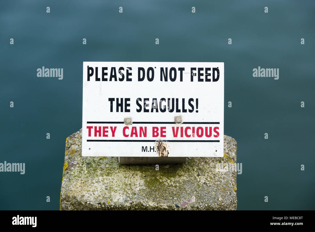 Seagull warning sign hi-res stock photography and images - Alamy
