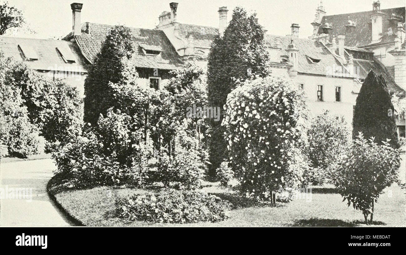 . Die Gartenkunst . Im Schloßhof zu Pruhonitz. Aus „Die Gartenanlagen ...