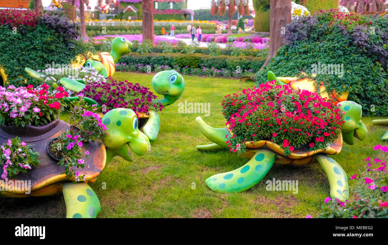 Turtle and colorful flowers in a garden Stock Photo - Alamy