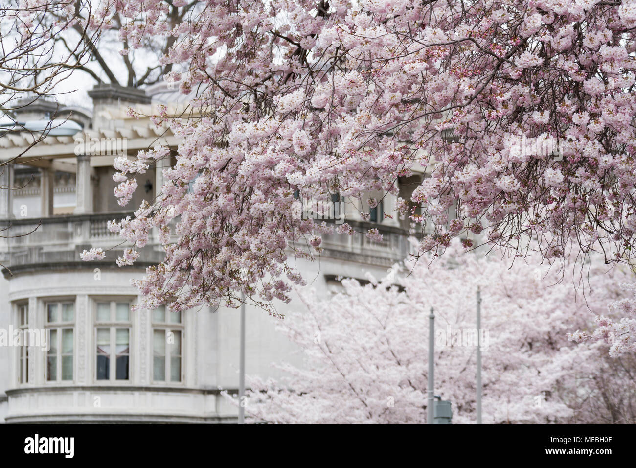 Embassy row washington dc hi-res stock photography and images - Alamy