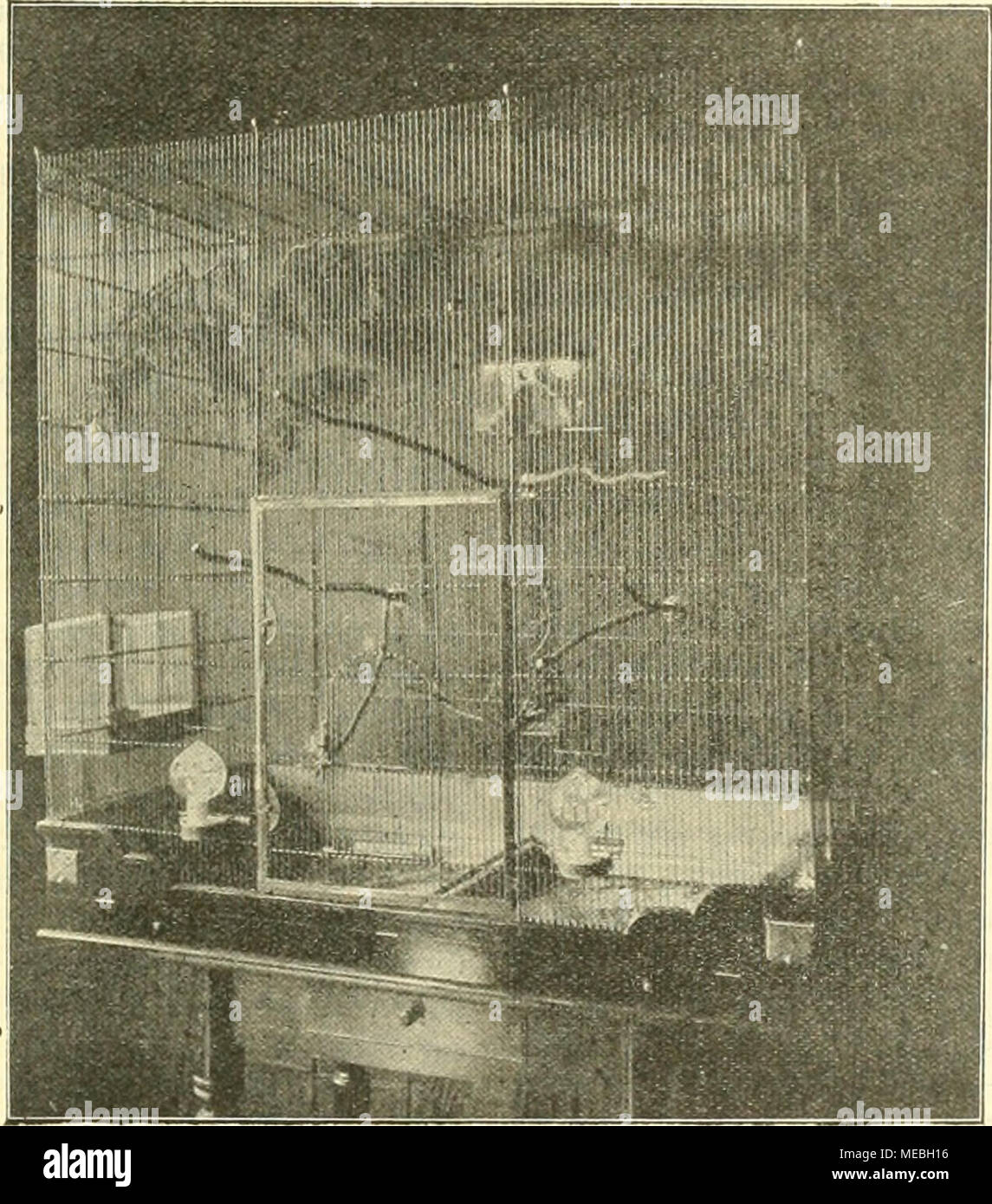 G oott hi-res stock photography and images - Alamy