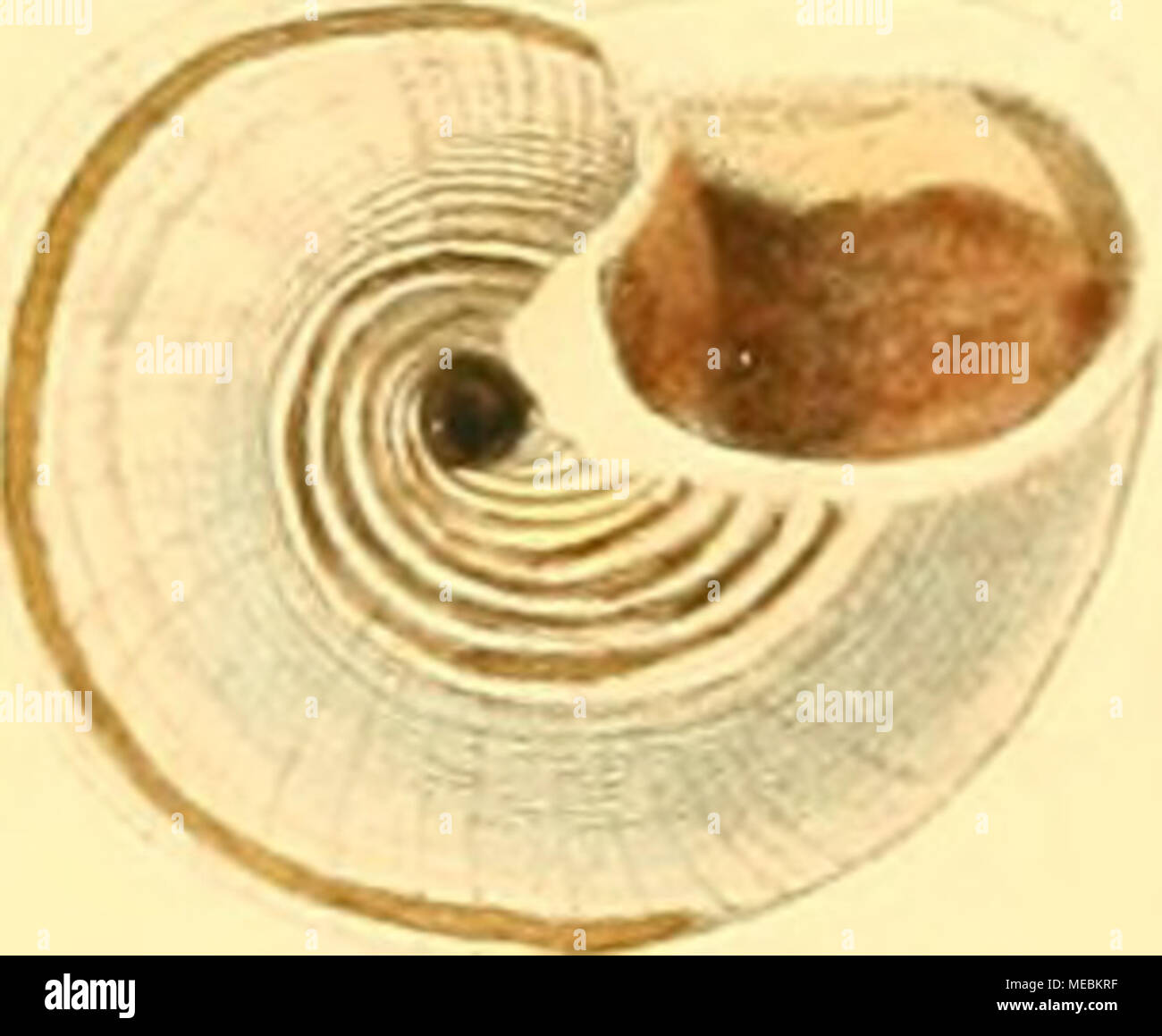 Vjht hi-res stock photography and images - Alamy