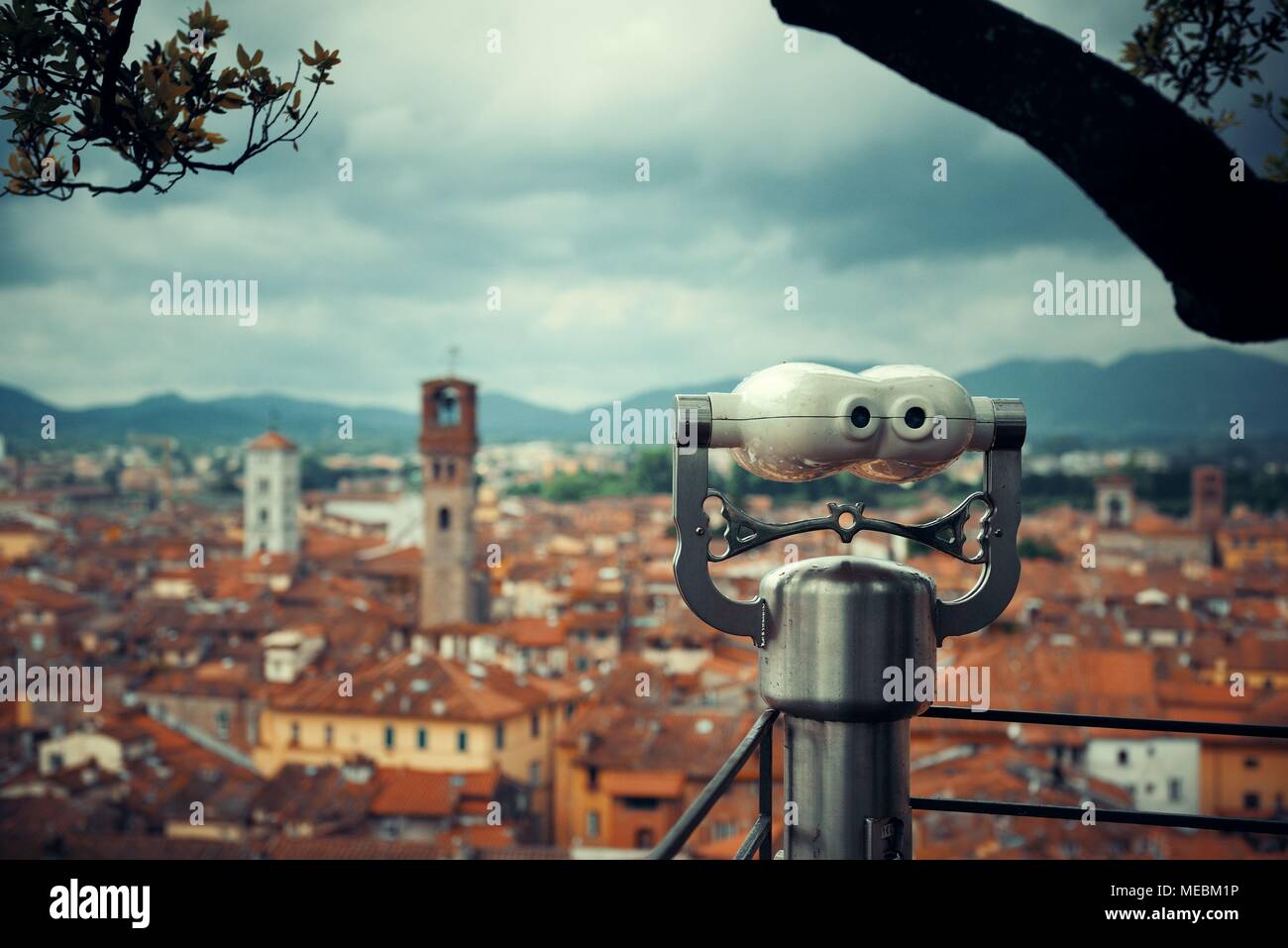 Guinigi Tower and Lucca rooftop view with historic buildings in Italy ...