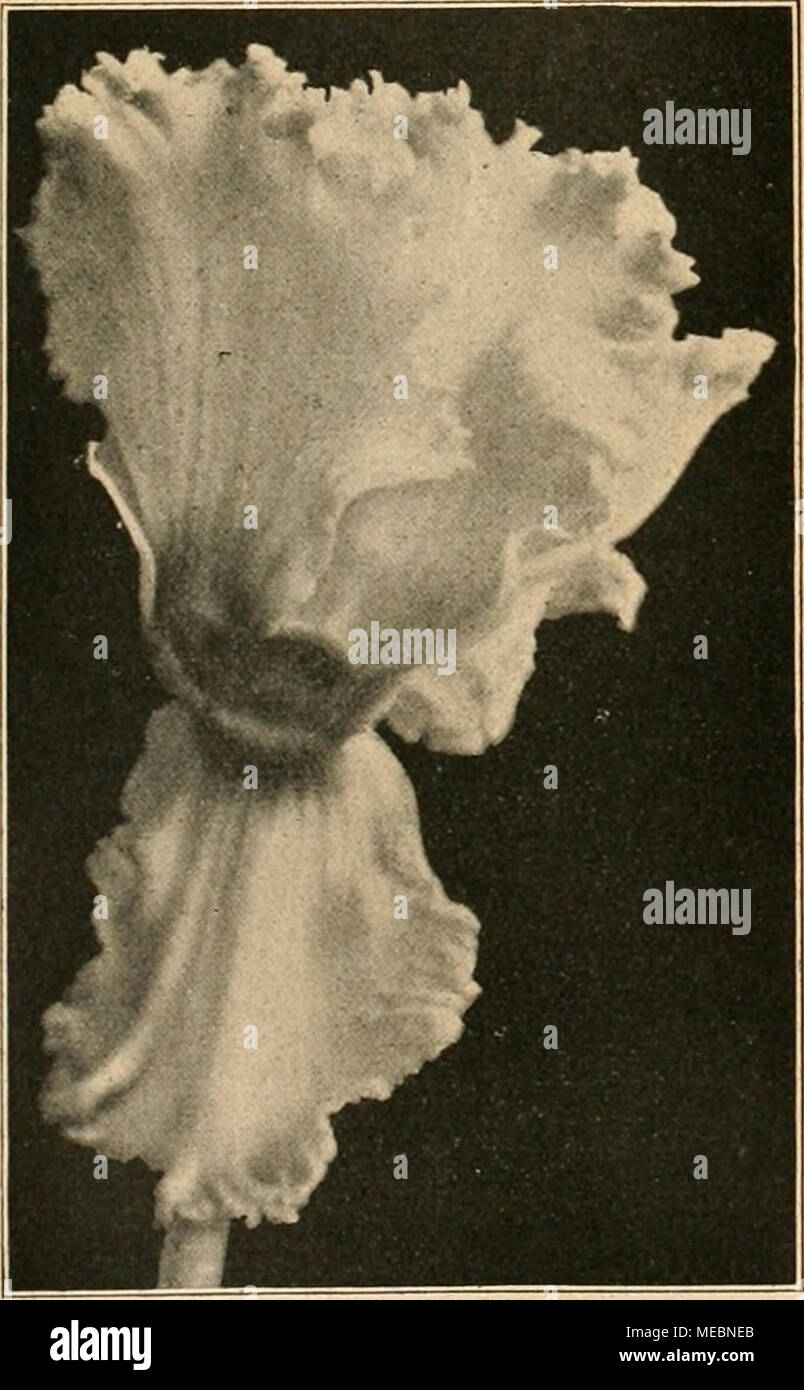 Zeichnen mit farbe hi-res stock photography and images - Alamy