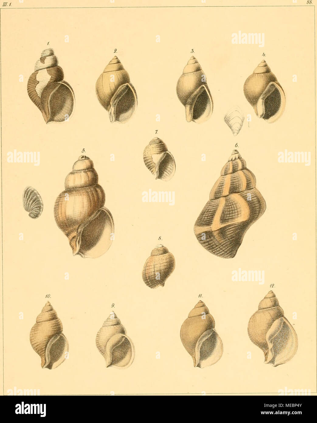 Cltl hi-res stock photography and images - Alamy