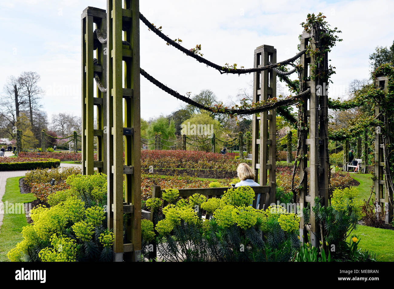 The Regent's Park in Spring - London - England Stock Photo - Alamy