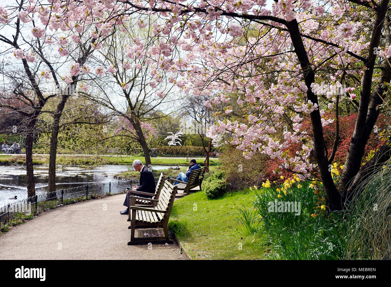 Spring into london hi-res stock photography and images - Alamy