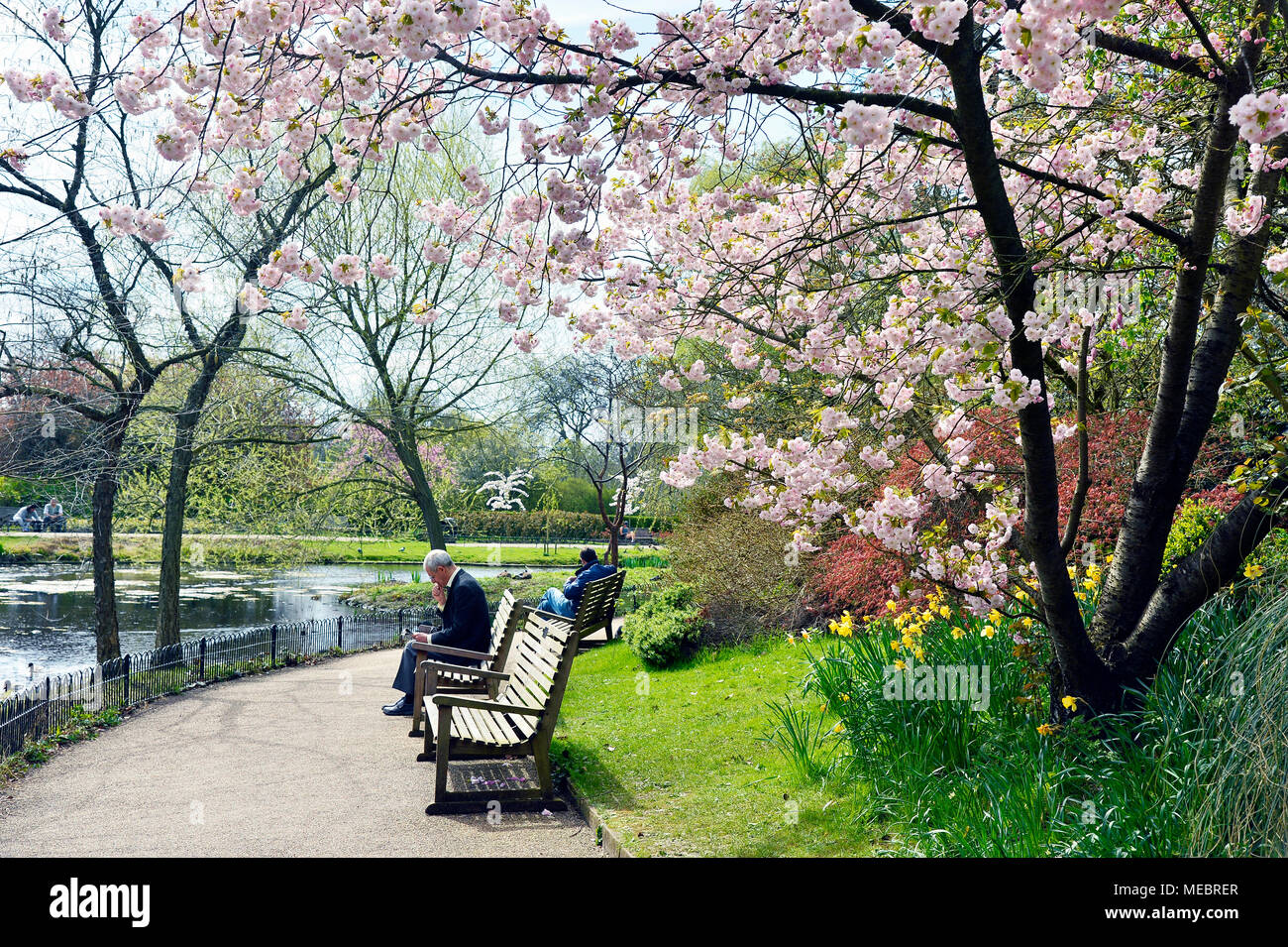 The Regent's Park in Spring - London - England Stock Photo - Alamy