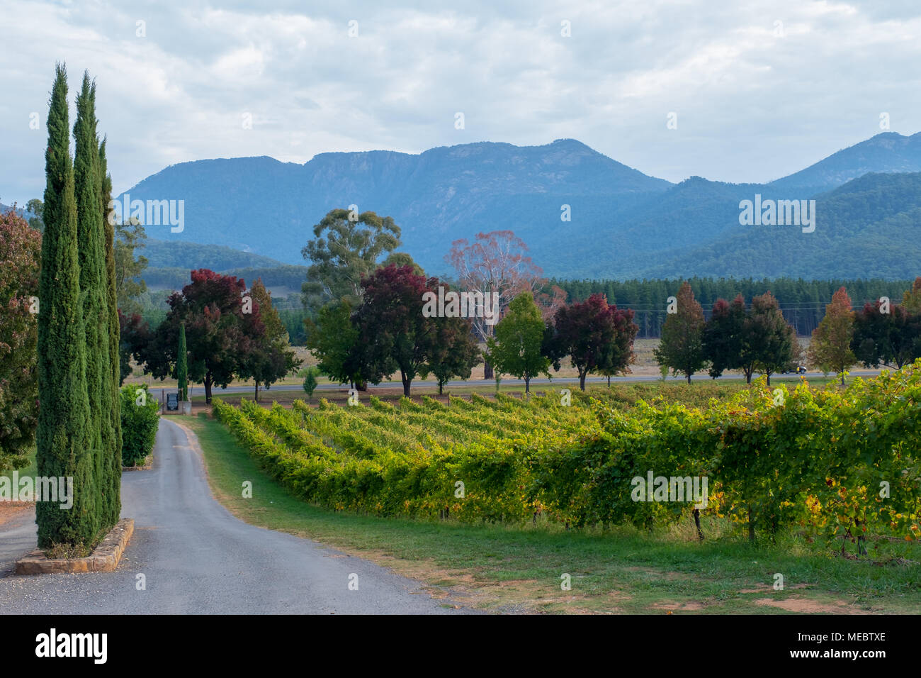 Alpine high country victoria hi-res stock photography and images - Alamy