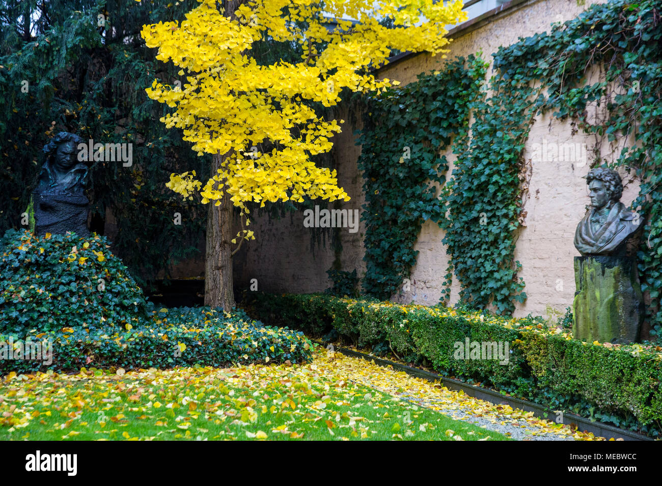 Statue of Ludwig Van Beethoven on the Beethoven House premises, the ...