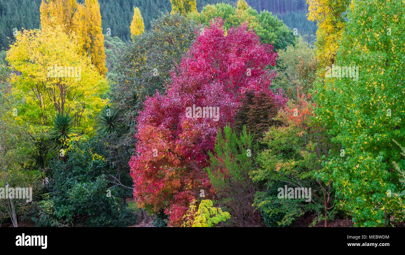 Colours of australia hi-res stock photography and images - Alamy