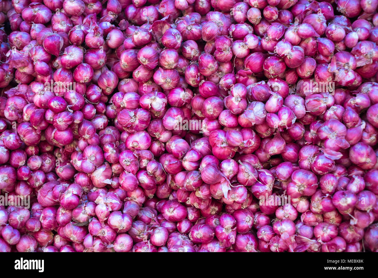 Shallot or Allium ascalonicum L. in local market. Allicin and n-propyl ...