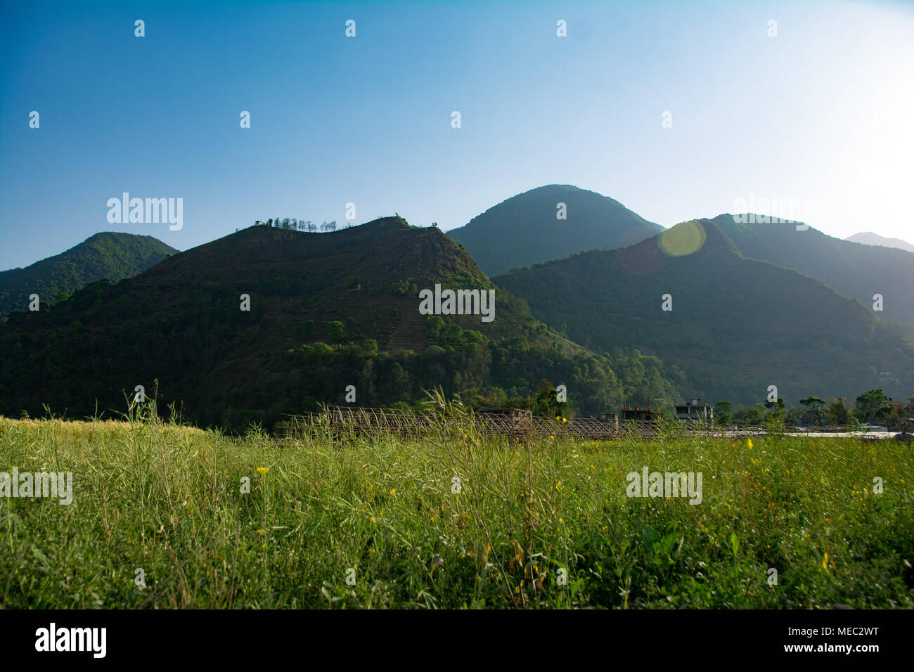 Beautiful rural farm landscape green hi-res stock photography and ...