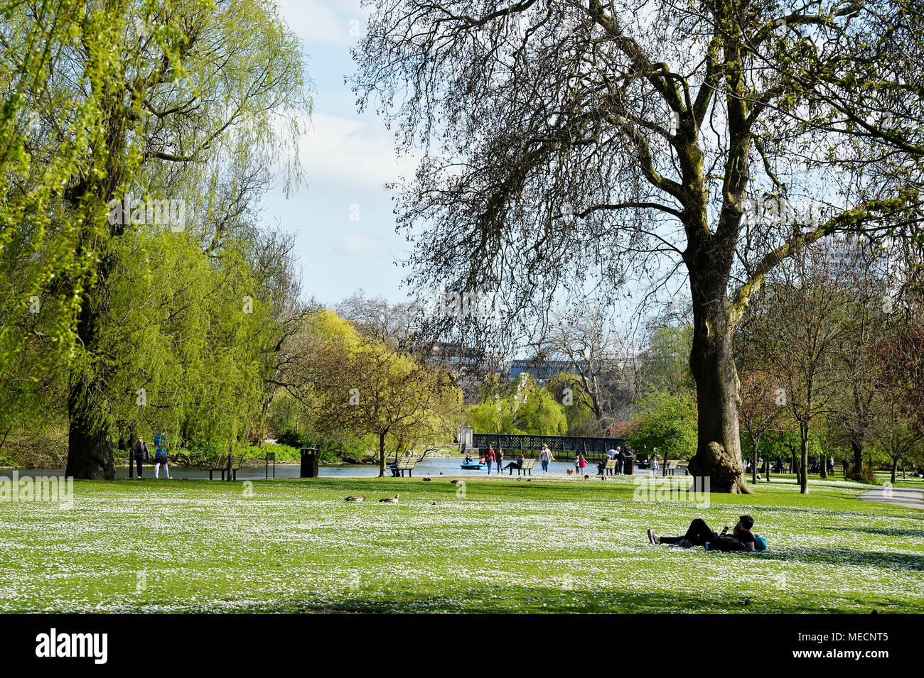 The Regent's Park in Spring - London - England Stock Photo - Alamy