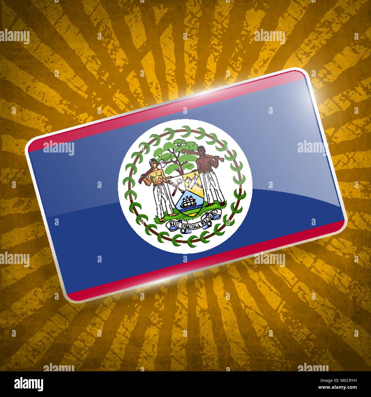 Flag of Belize with old texture. Vector illustration Stock Vector Image ...