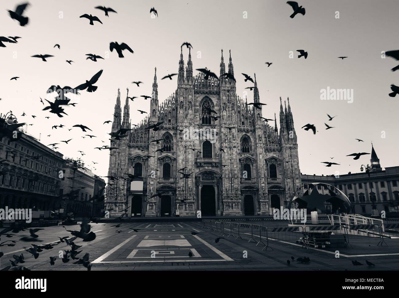 Pigeon at Cathedral Square or Piazza del Duomo in Italian, the center ...
