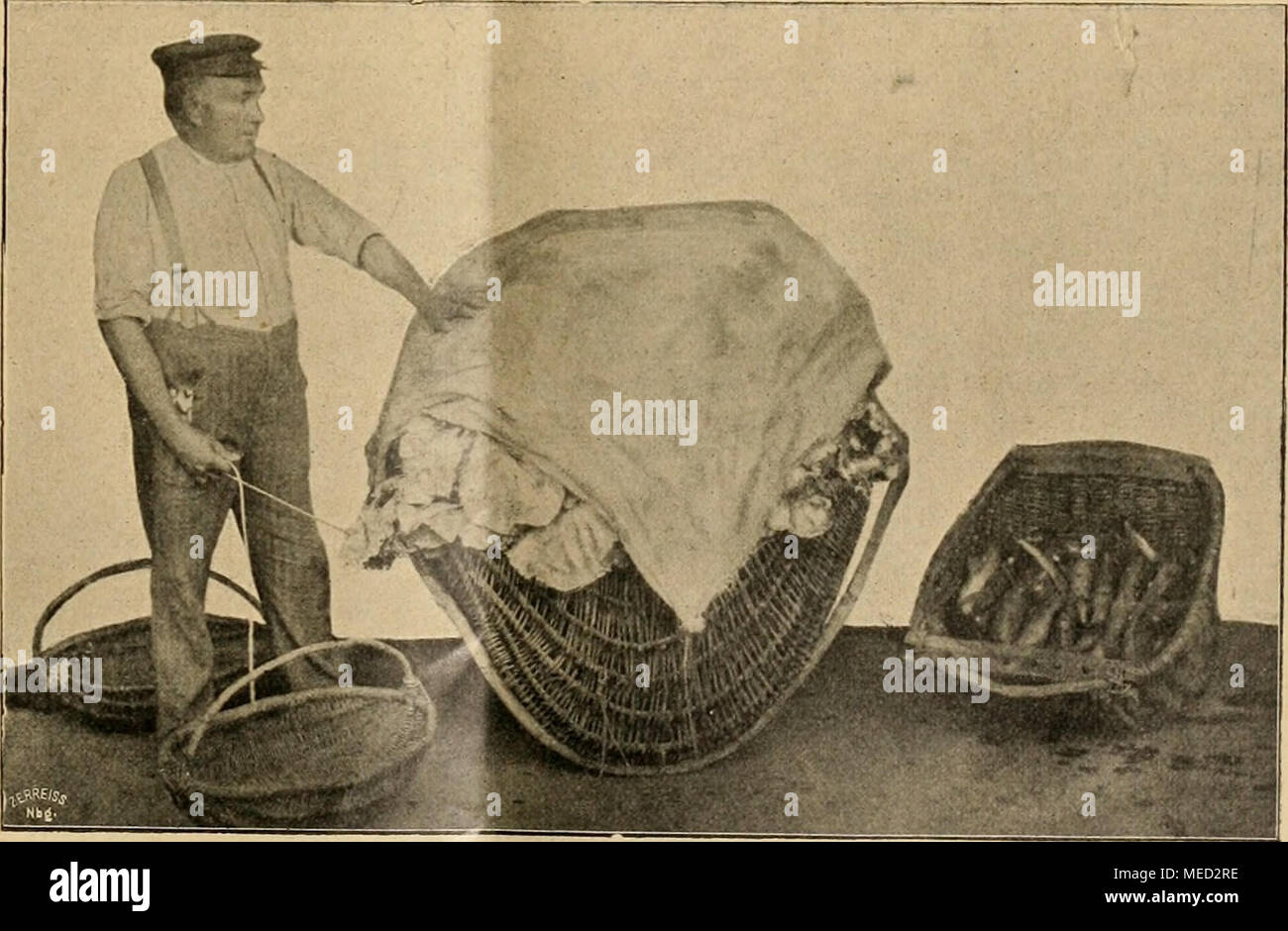 Biederer hi-res stock photography and images - Alamy