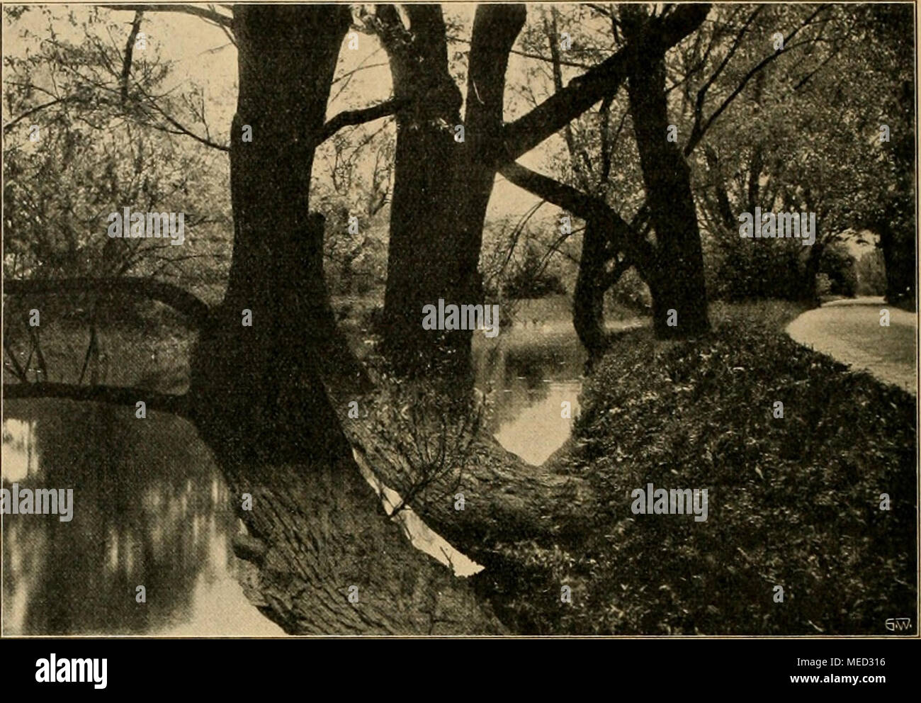 Gallone wasser hi-res stock photography and images - Alamy