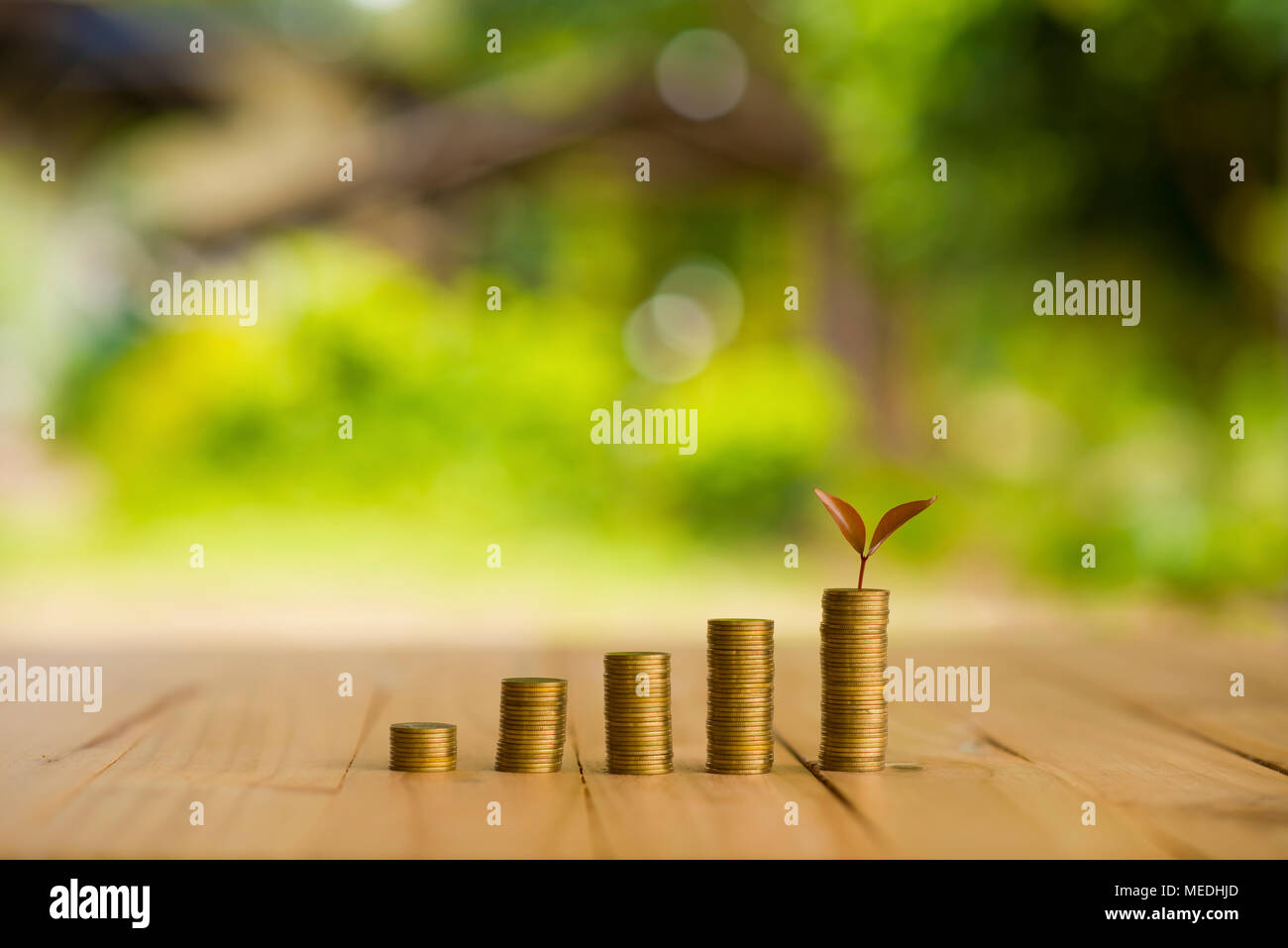 Growing plant on row of coin money , csr in business Stock Photo - Alamy