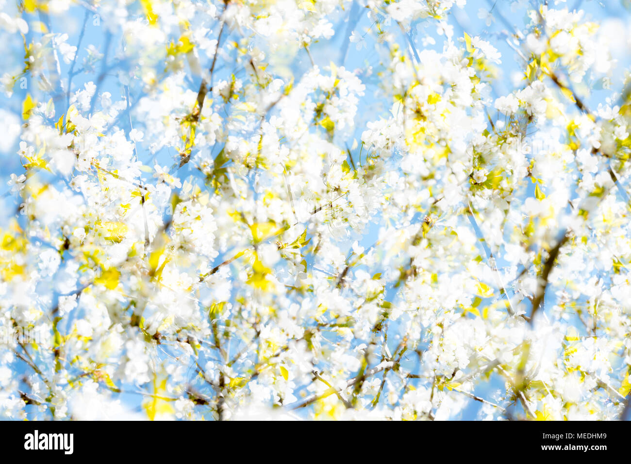 A multiple composition of spring colours Stock Photo - Alamy