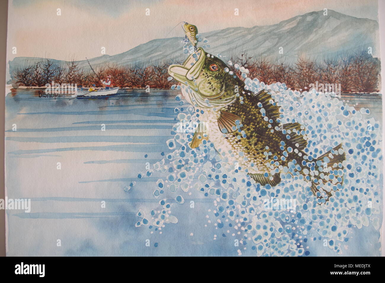 Bass fishing fun Stock Photo - Alamy