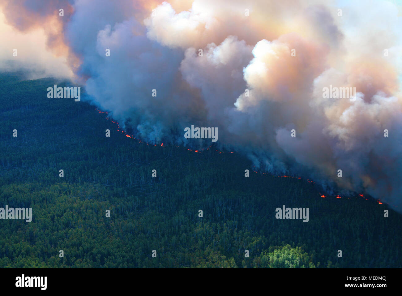 Forest fire, top view Stock Photo - Alamy