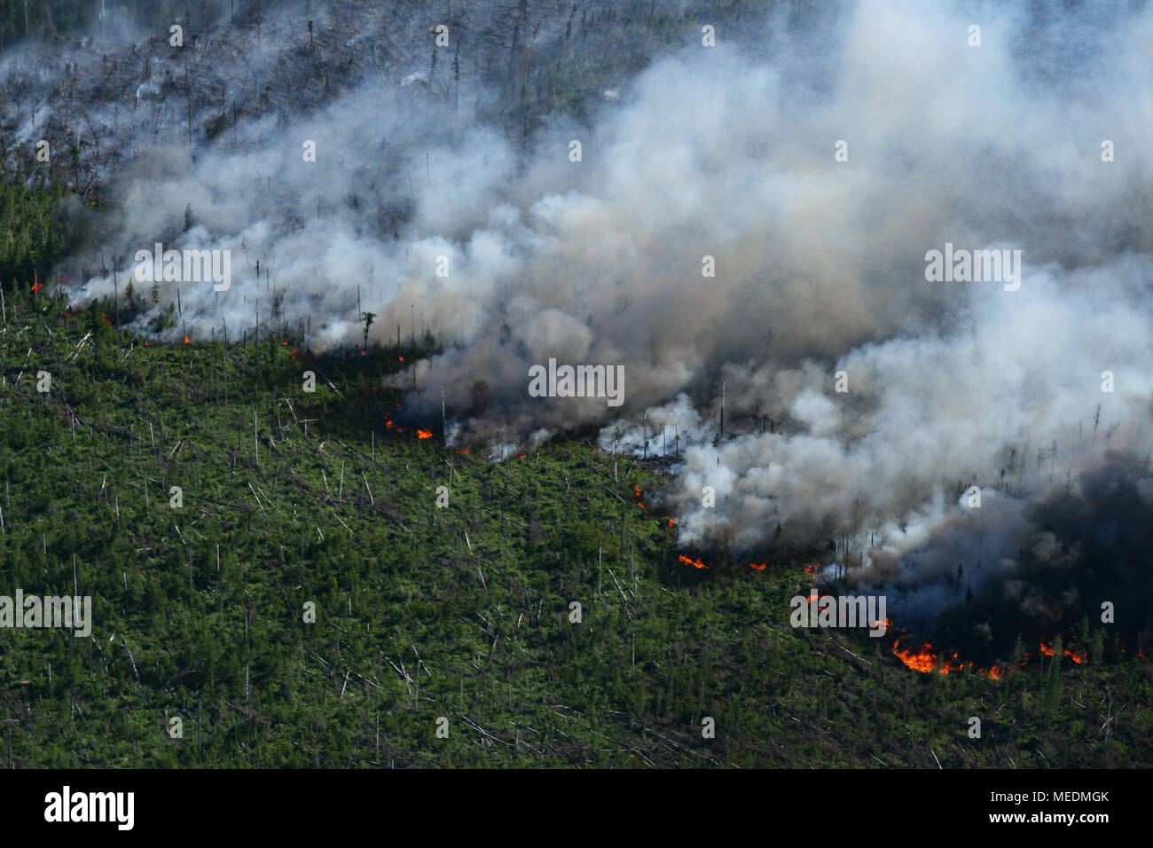 Forest fire, top view Stock Photo - Alamy