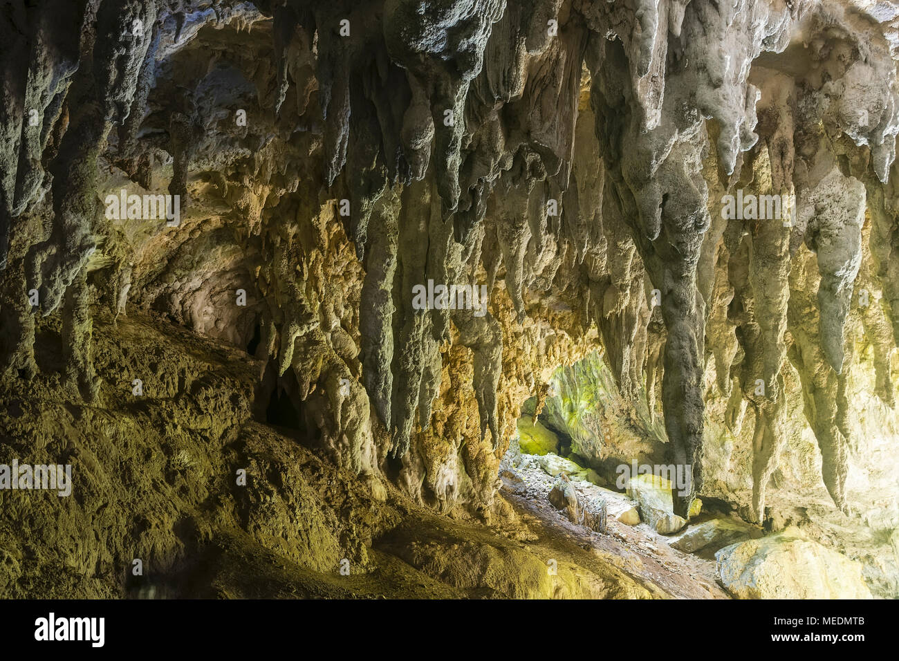 Nature cave on the forest Stock Photo - Alamy