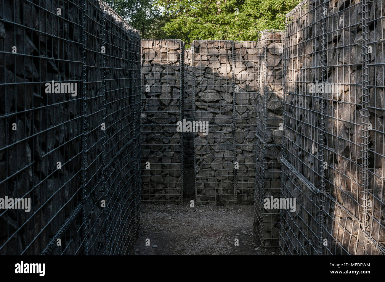 MINOTAUR By Nick Coombe and Shona Kitchen 2003 PHILLIP ROBERTS Stock ...