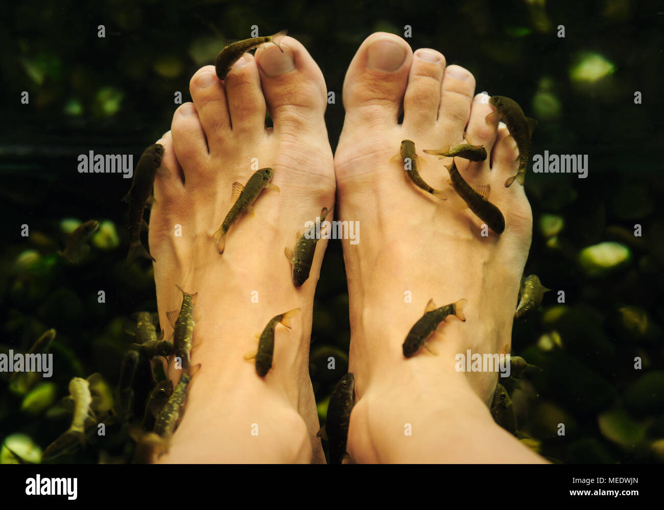 Peeling skin feet tropical fish hi-res stock photography and images - Alamy