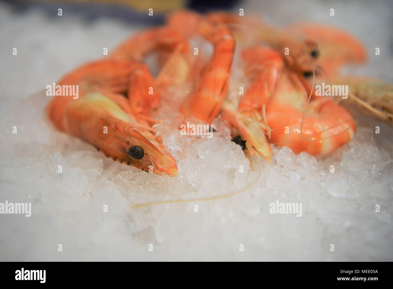 Whole fish ice hi-res stock photography and images - Alamy