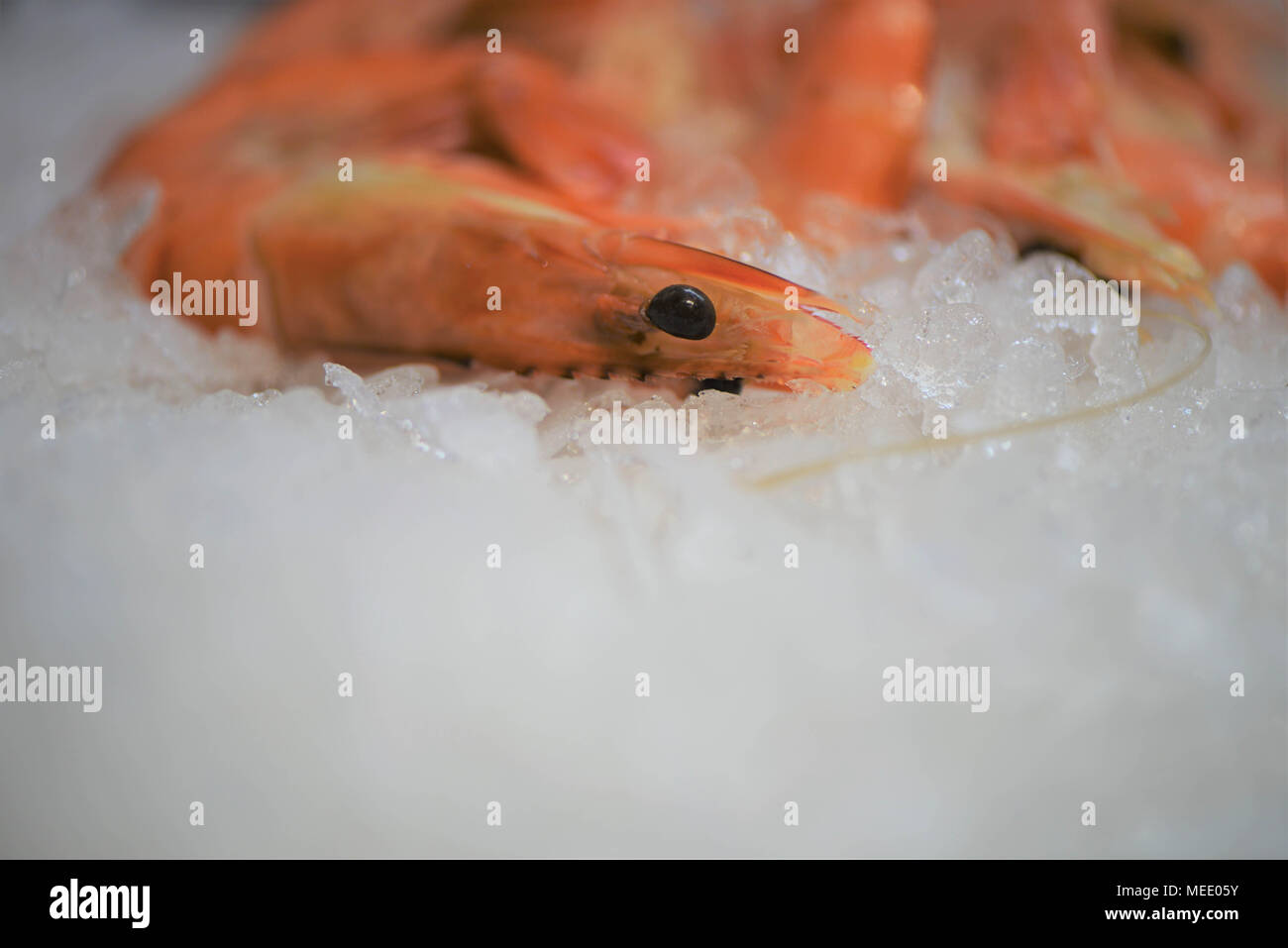 raw whole prawns at a fish mongers shop Stock Photo - Alamy