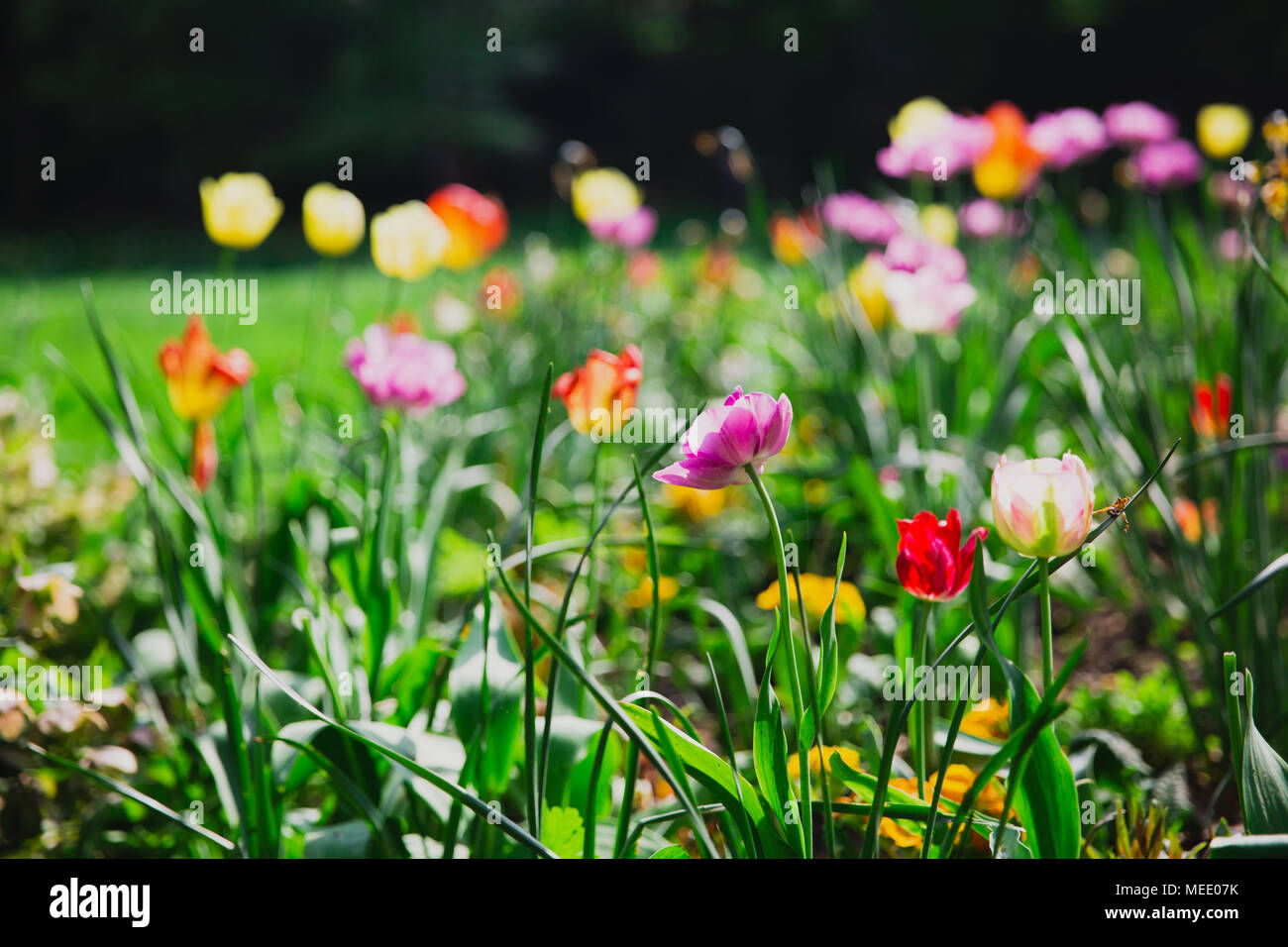 Josaphat park brussels hi-res stock photography and images - Alamy