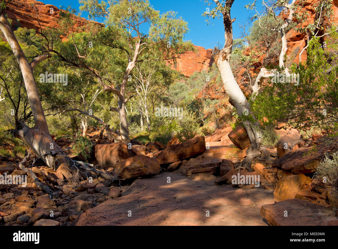 Kings canyon central australia hi-res stock photography and images - Alamy