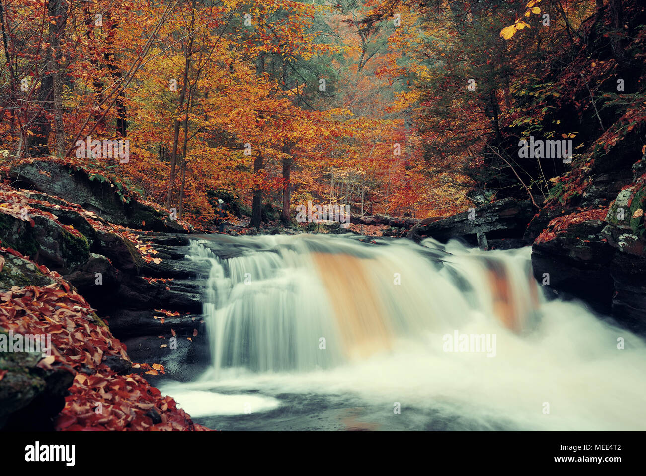 Autumn waterfalls in park with colorful foliage Stock Photo - Alamy