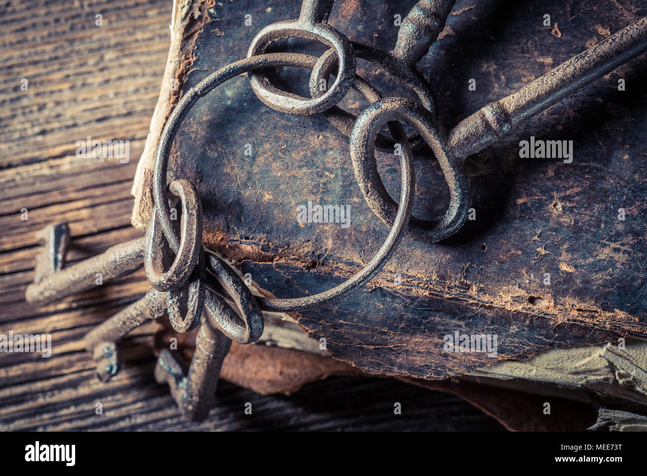 Knowledge in books is key to the wisdom Stock Photo - Alamy