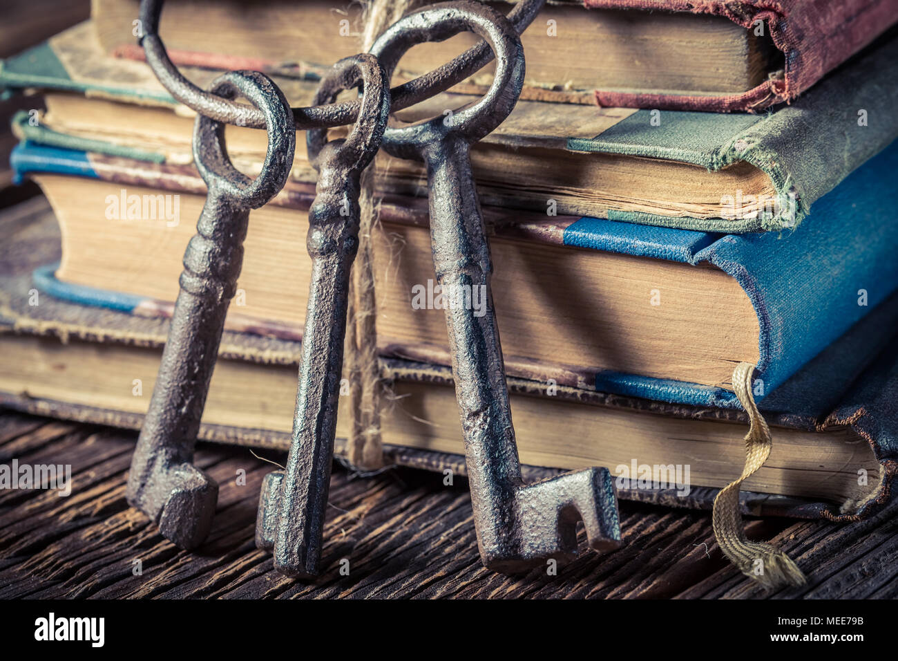 Reading wisdom hi-res stock photography and images - Alamy