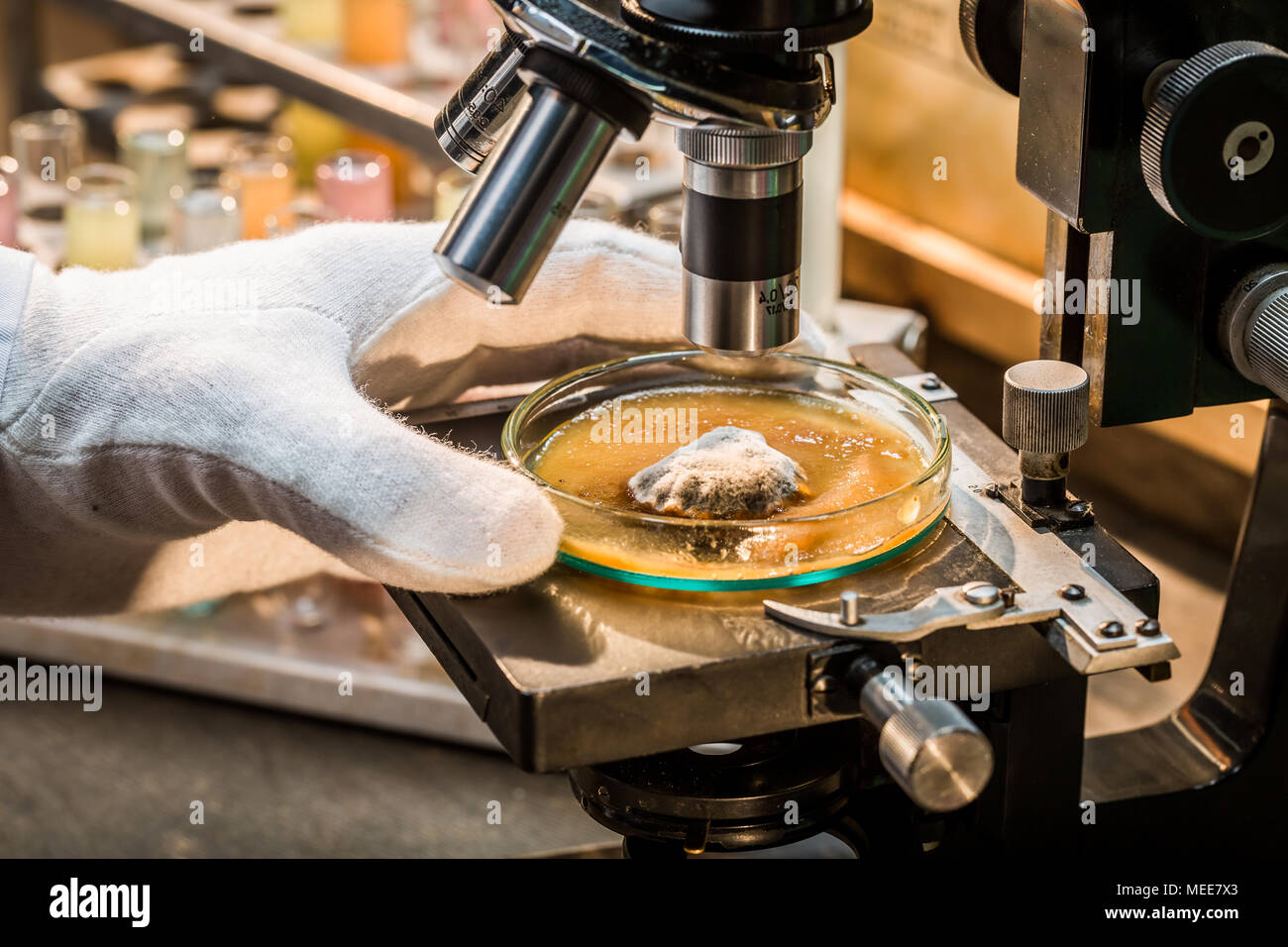 Laboratory with sample testing through the microscope Stock Photo - Alamy