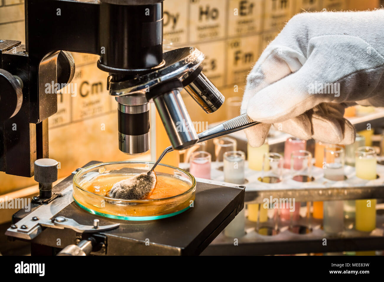 Green mold microscope hi-res stock photography and images - Alamy