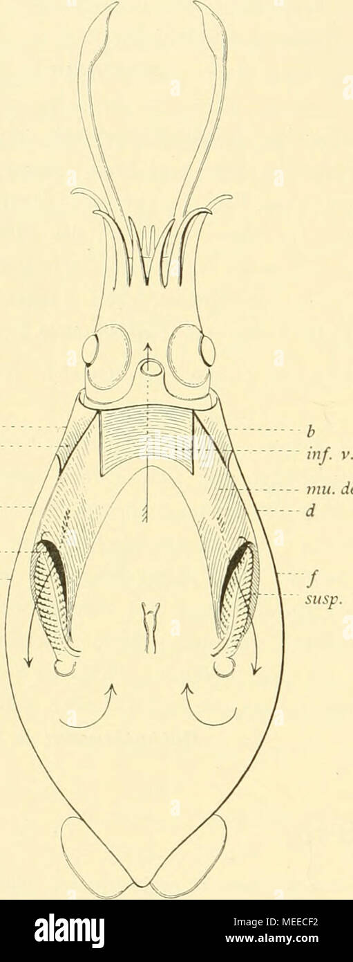 Spiraculum hi-res stock photography and images - Alamy