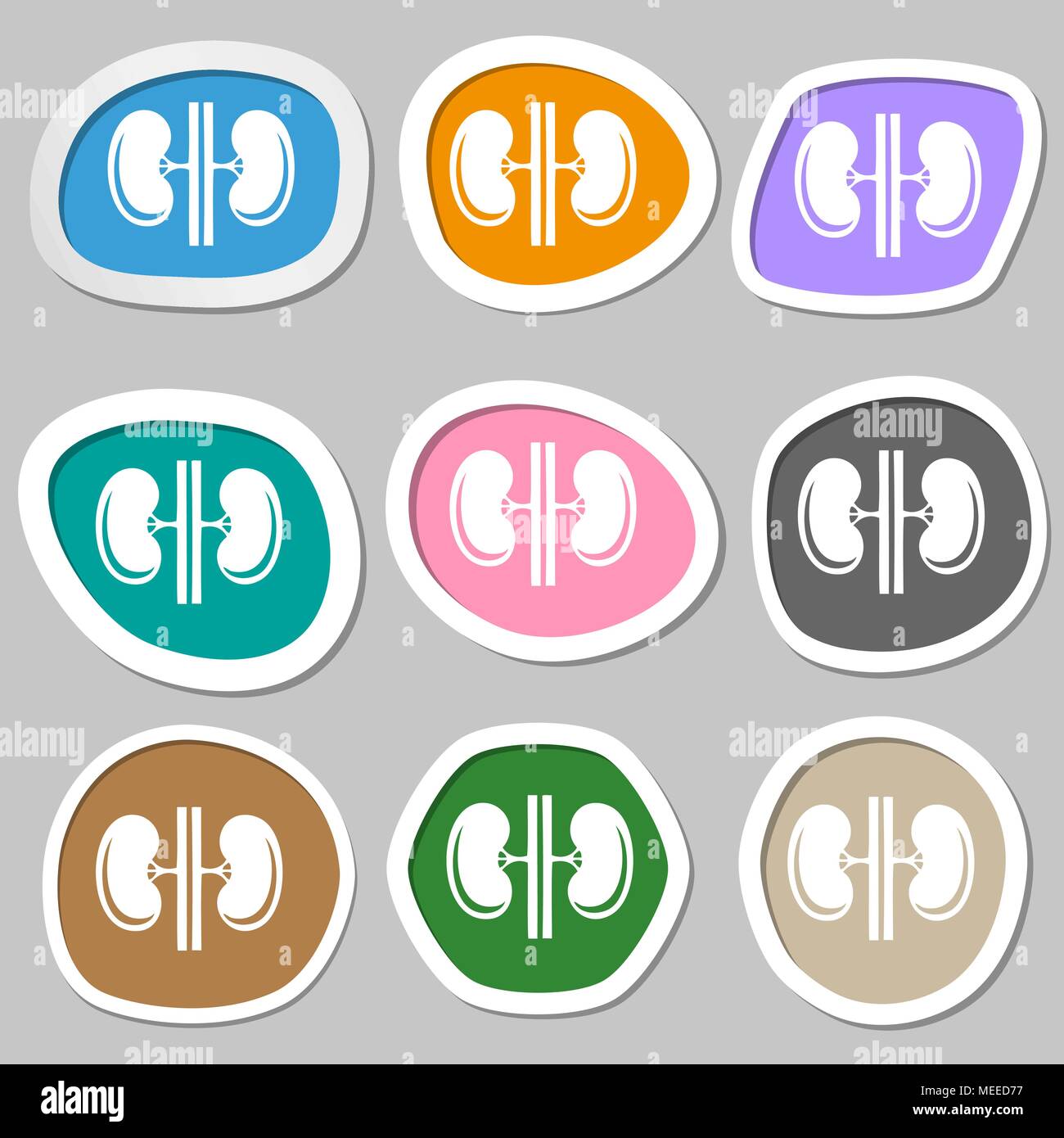 Kidneys symbols. Multicolored paper stickers. Vector illustration Stock ...